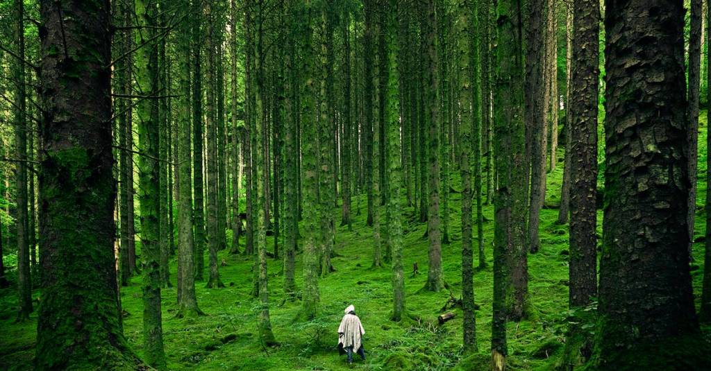 Unveiling Pamplin College’s Impactful DEIB Progress, Her Forward ...